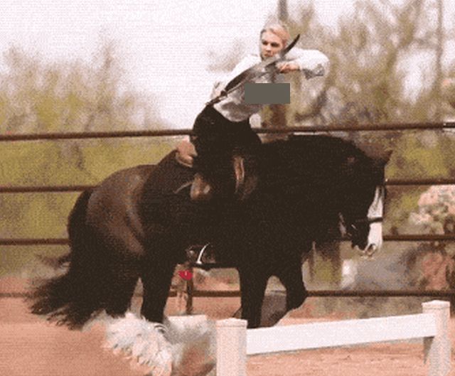 Gif » AcidCow.com - The One and Only