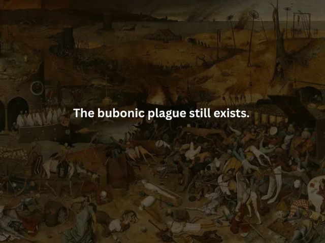 Creepy Facts (15 pics)