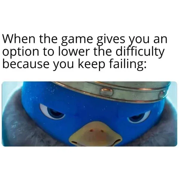 Memes For Gamers (23 pics)