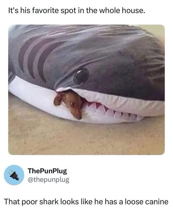 Random Memes (21 pics)