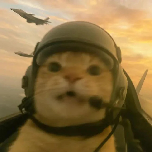 Jokes And Photos For Cats Lovers (15 pics)