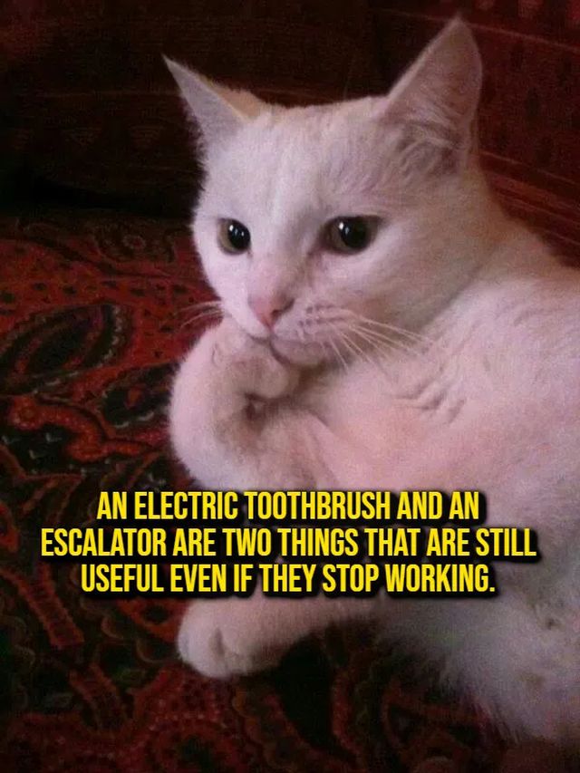 Weird Thoughts (17 pics)