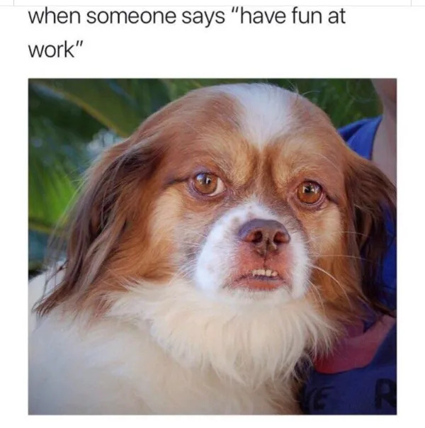 Work Memes (25 pics)