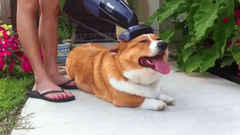 Acid GIFs, June 18 (25 gifs)