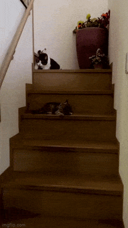 Acid GIFs, June 19 (25 gifs)