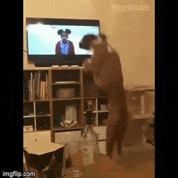 Acid GIFs, June 19 (25 gifs)