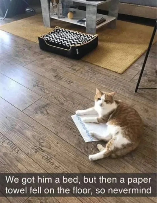 Funny Memes (21 pics)