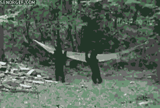 Acid GIFs, June 29 (29 gifs)