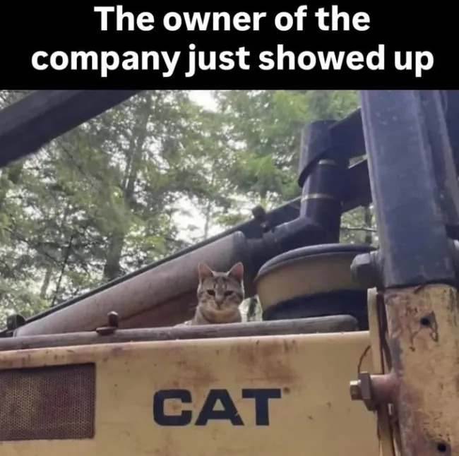Funny Memes (19 pics)